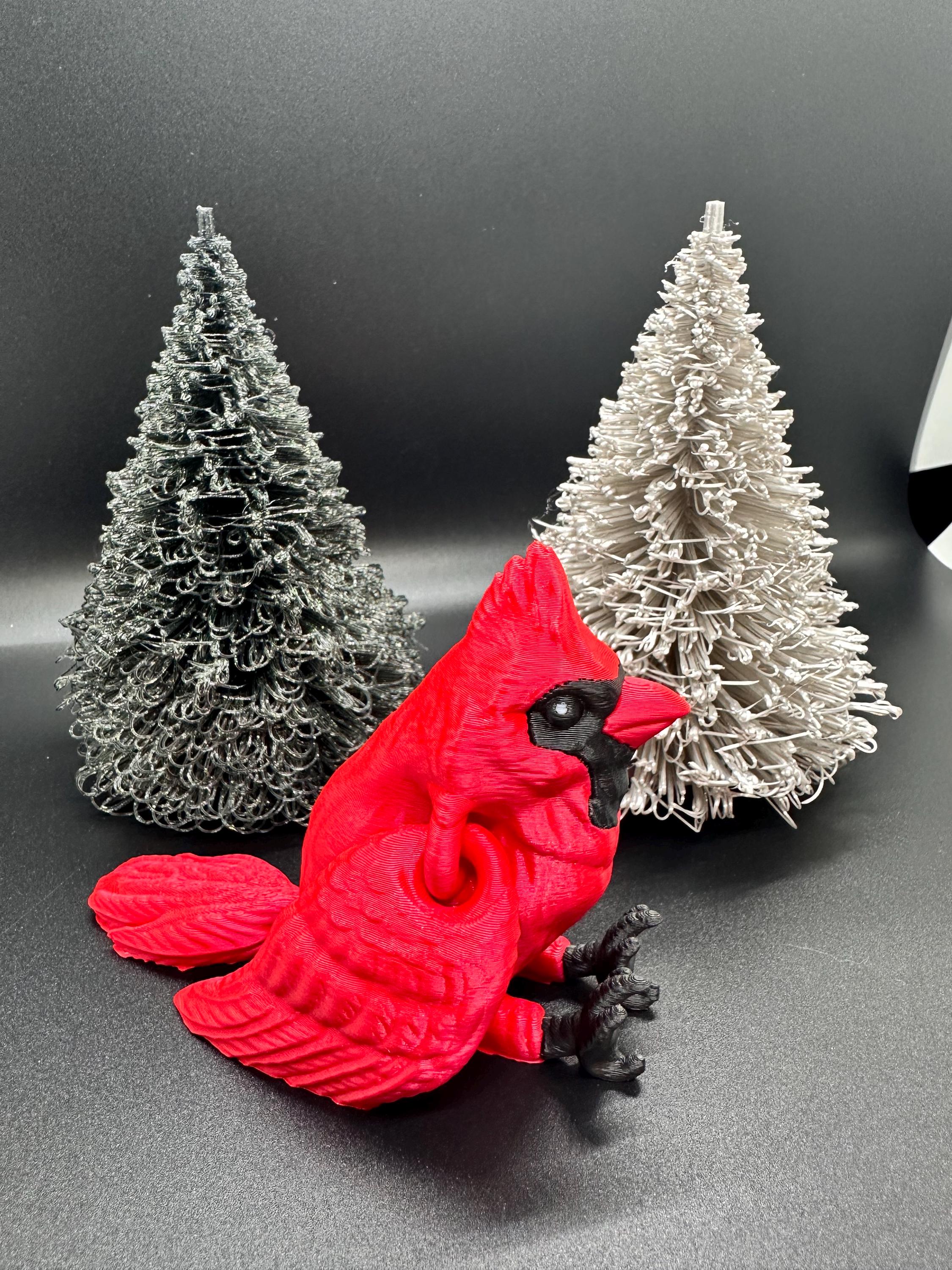 3D Printed Cardinal - Etsy