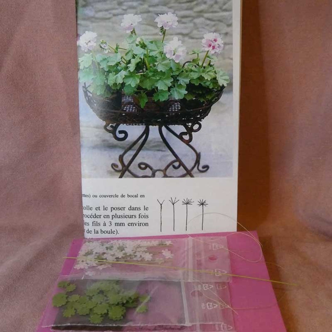Pelagonia / Geranium Miniature Flower KIT Pelagonie / - Etsy