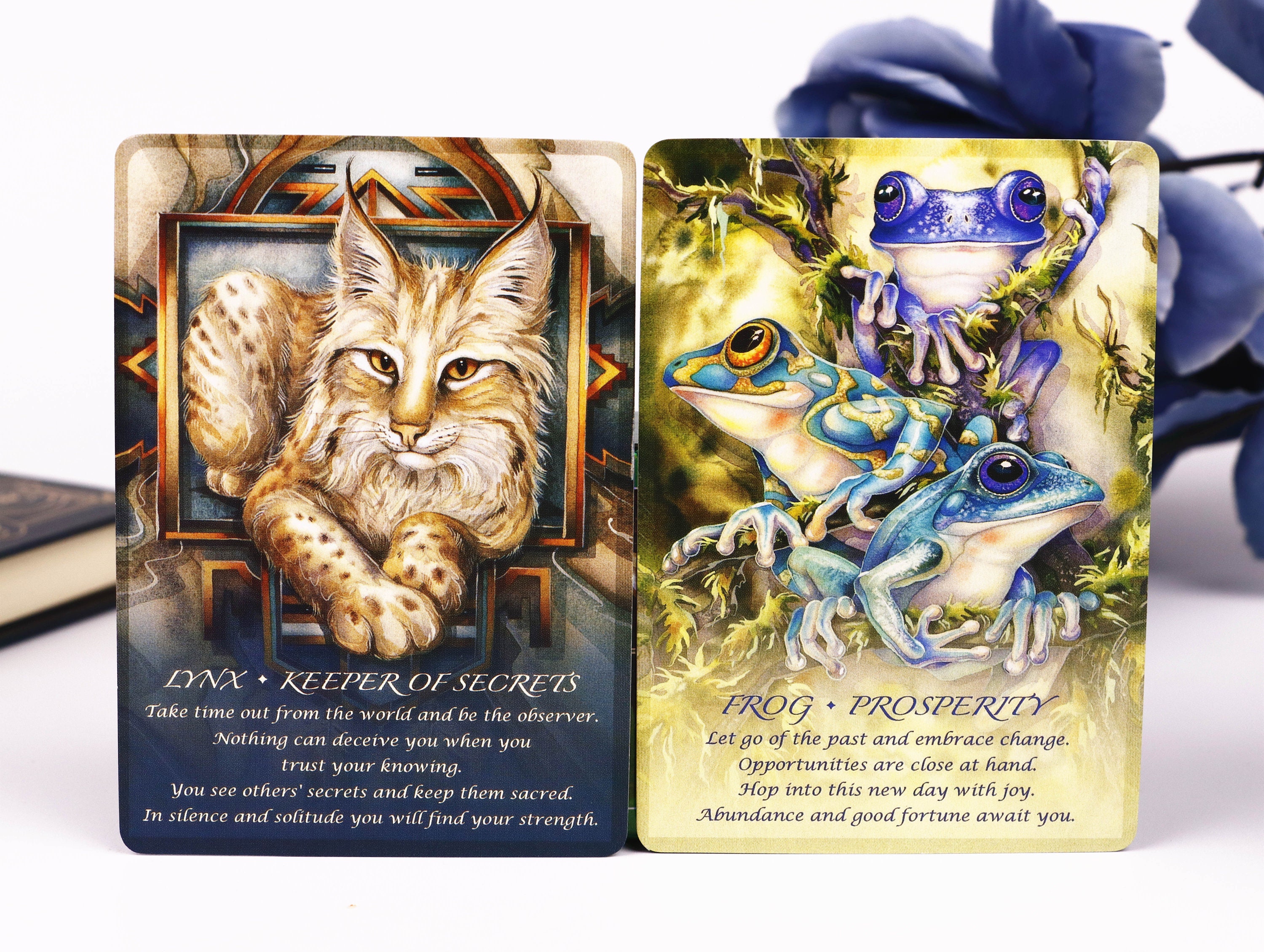 Animal oracle cards with guidebook for beginners 44-card | Etsy