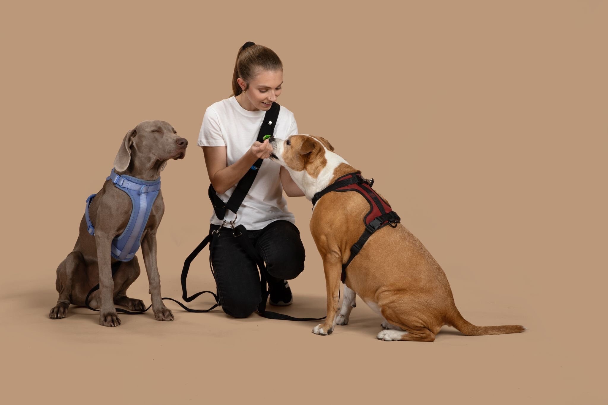 Hands-free Crossbody Leash Bundle (includes Two Clip-on Leashes and a ...