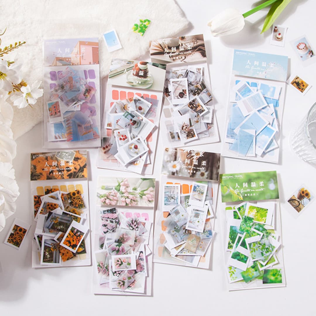 30pcs/bag Album Back Laptop Scrapbooking Planner Natural Decorative ...