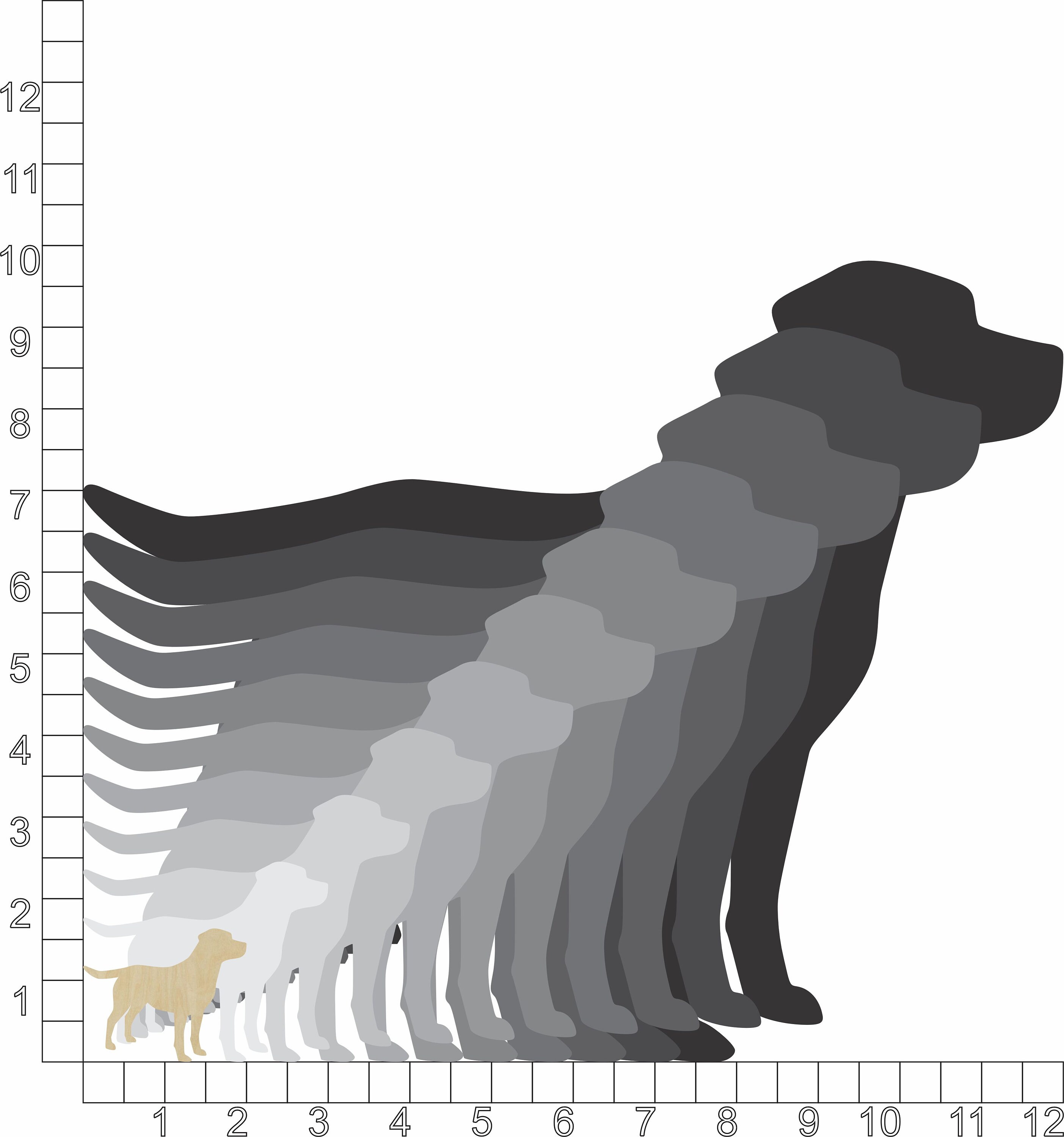 Labrador Lab Dog Shape Multiple Sizes Laser Cut - Etsy