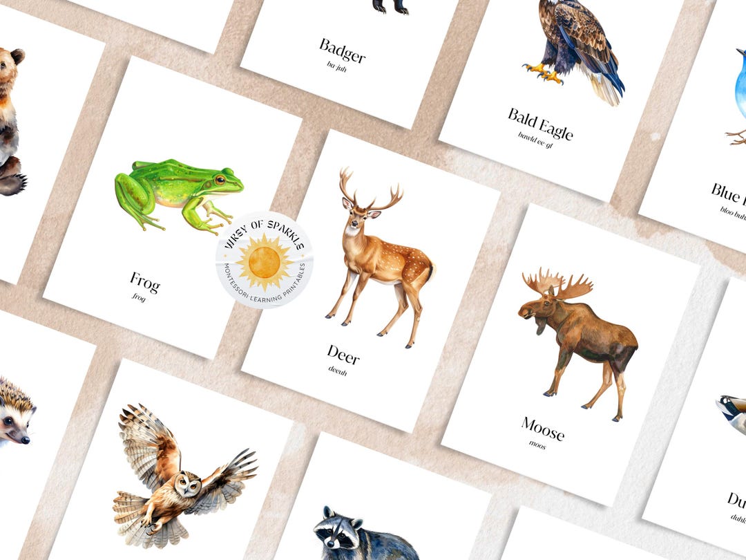 FOREST ANIMALS, 20 Printable Montessori Cards, Flash Cards Nomenclature ...