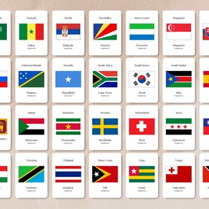 World Flags Flashcards: Geography Learning Resource (digital Download ...
