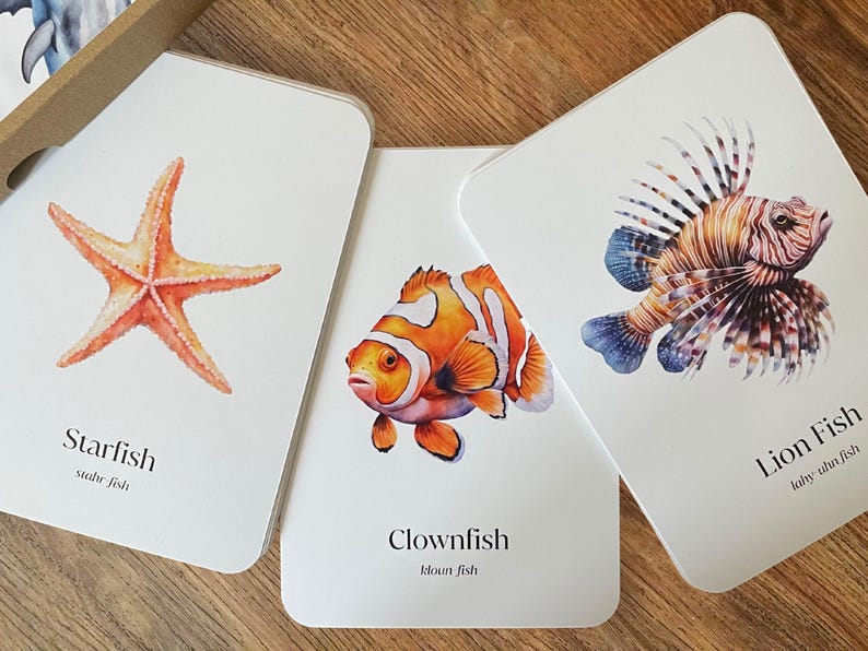 Ocean Animal Montessori Cards: Printable Flashcards for Homeschool - Etsy
