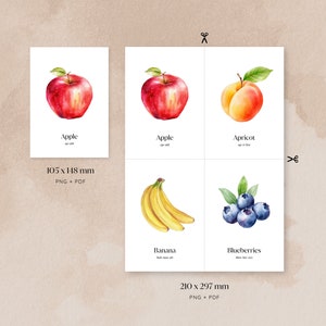 Fruits Montessori Flashcards: Preschool Learning (digital Download) - Etsy
