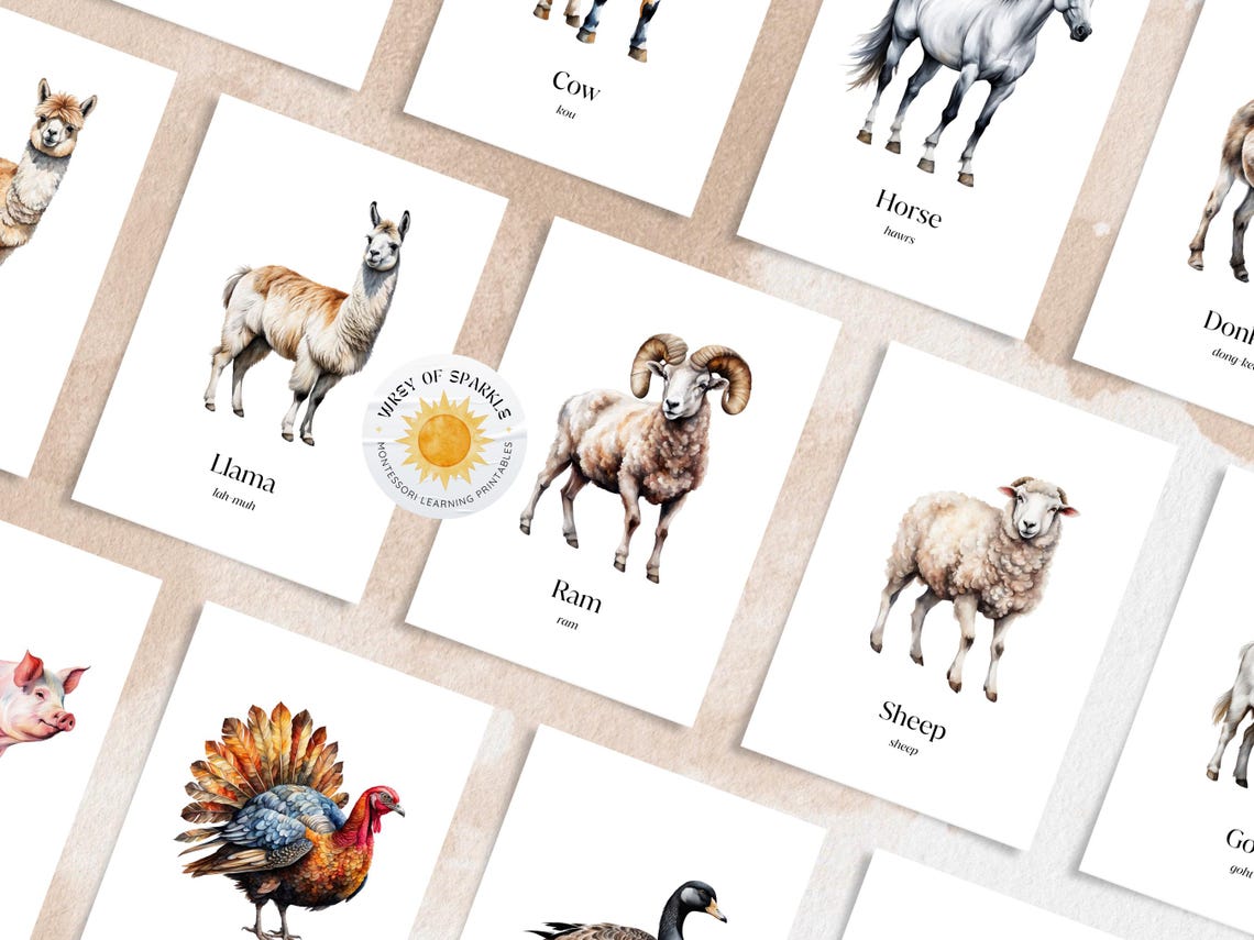 Farm Animals Montessori Flash Cards: Homeschool Printable (PDF) - Etsy