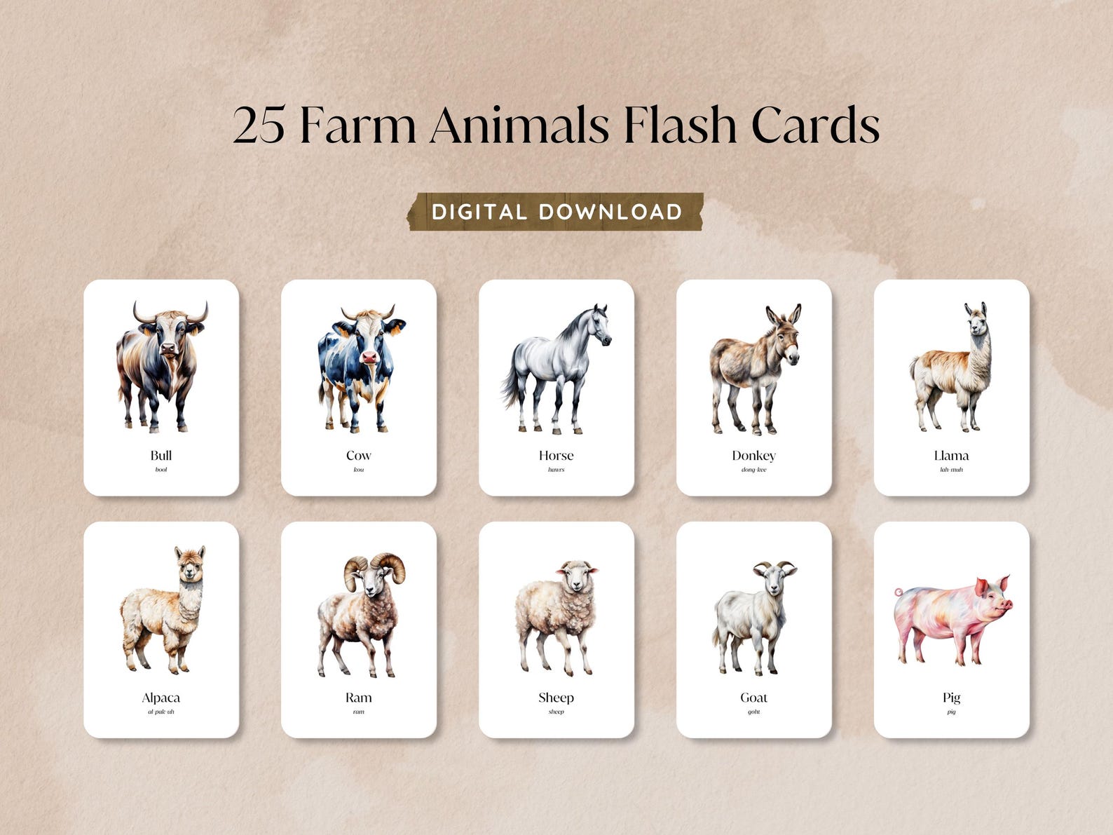 Farm Animals Montessori Flash Cards: Homeschool Printable (PDF) - Etsy