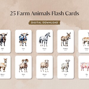 FARM ANIMALS, 25 Printable Montessori Cards, Flash Cards Nomenclature ...