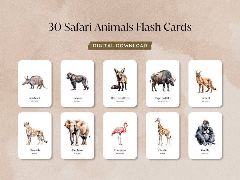 Safari Animal Montessori Cards: Watercolor Flashcards (digital Download ...