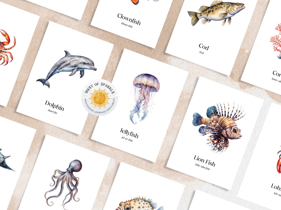 Ocean Animal Montessori Cards: Printable Flashcards (instant Download ...