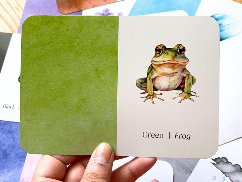 Nature Color Flashcards: Montessori Language Learning Cards - Etsy