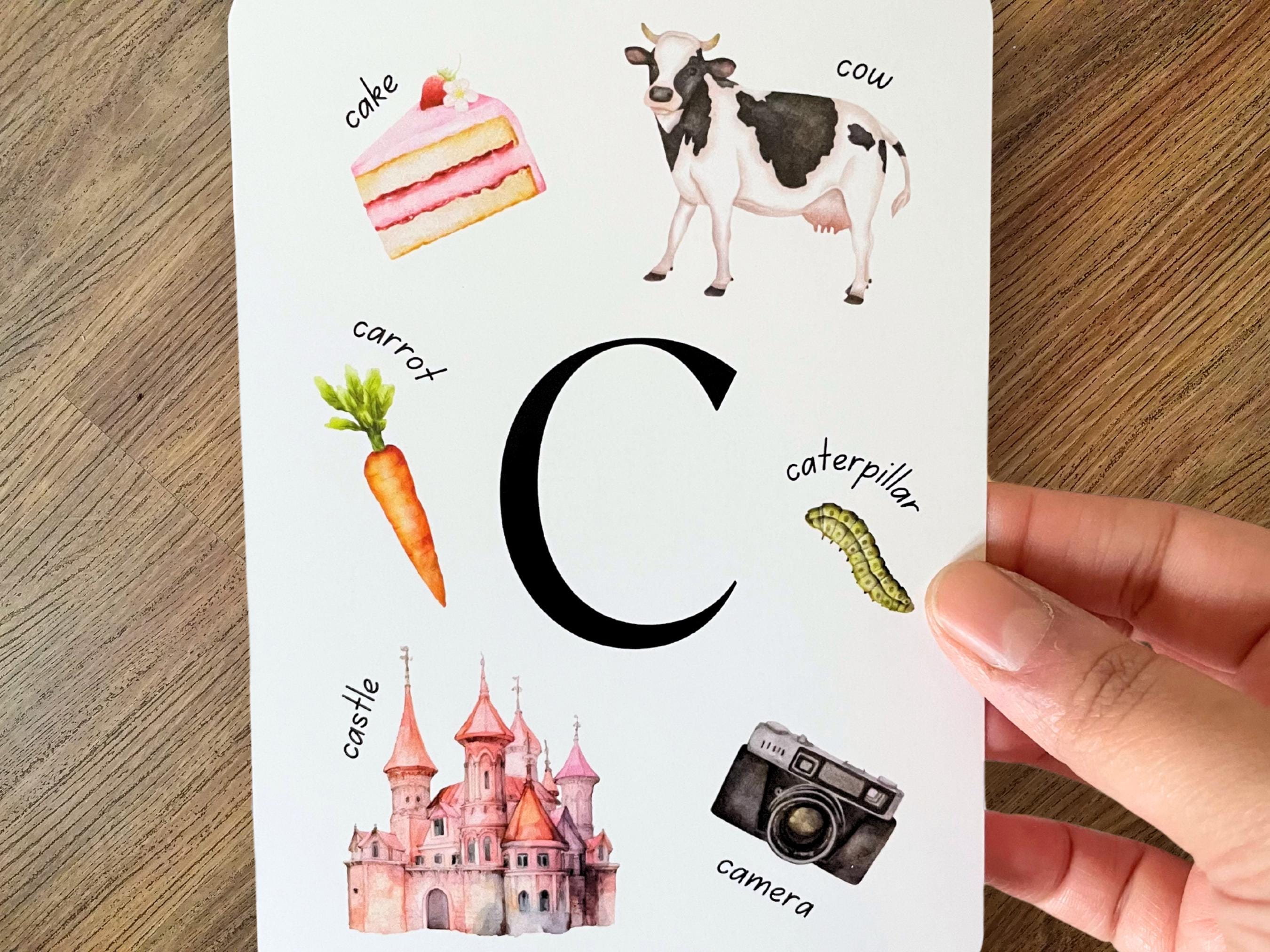 ABC Nature Flashcards, Nature Scavenger Hunt Activity, Nature Unit ...