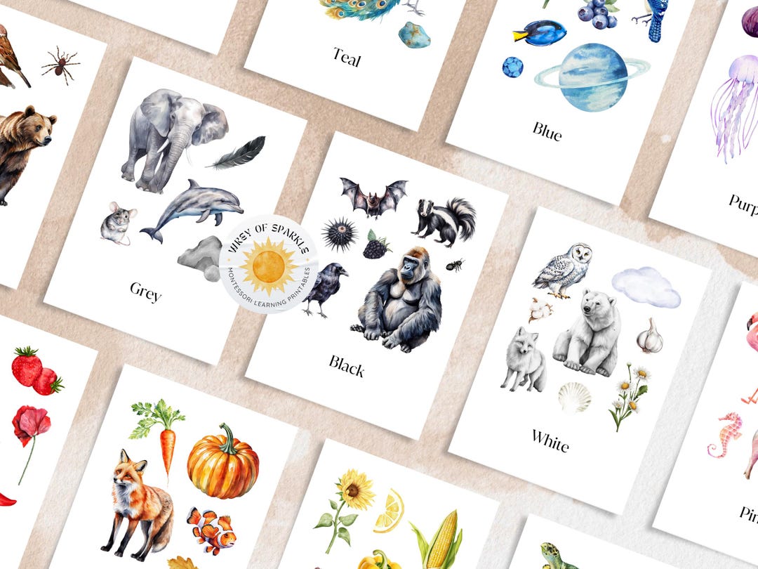 12 Children’s Nature Colour Flashcards Printable, Kids Learn Colour ...