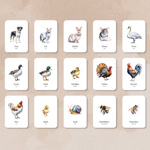 FARM ANIMALS, 25 Printable Montessori Cards, Flash Cards Nomenclature ...