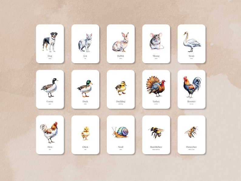 Farm Animals Montessori Flash Cards: Homeschool Printable (PDF) - Etsy