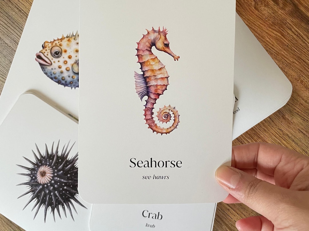 Ocean Animal Montessori Cards: Printable Flashcards for Homeschool - Etsy