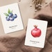 Fruits Montessori Flashcards: Preschool Learning (digital Download) - Etsy