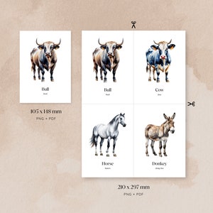 FARM ANIMALS, 25 Printable Montessori Cards, Flash Cards Nomenclature ...