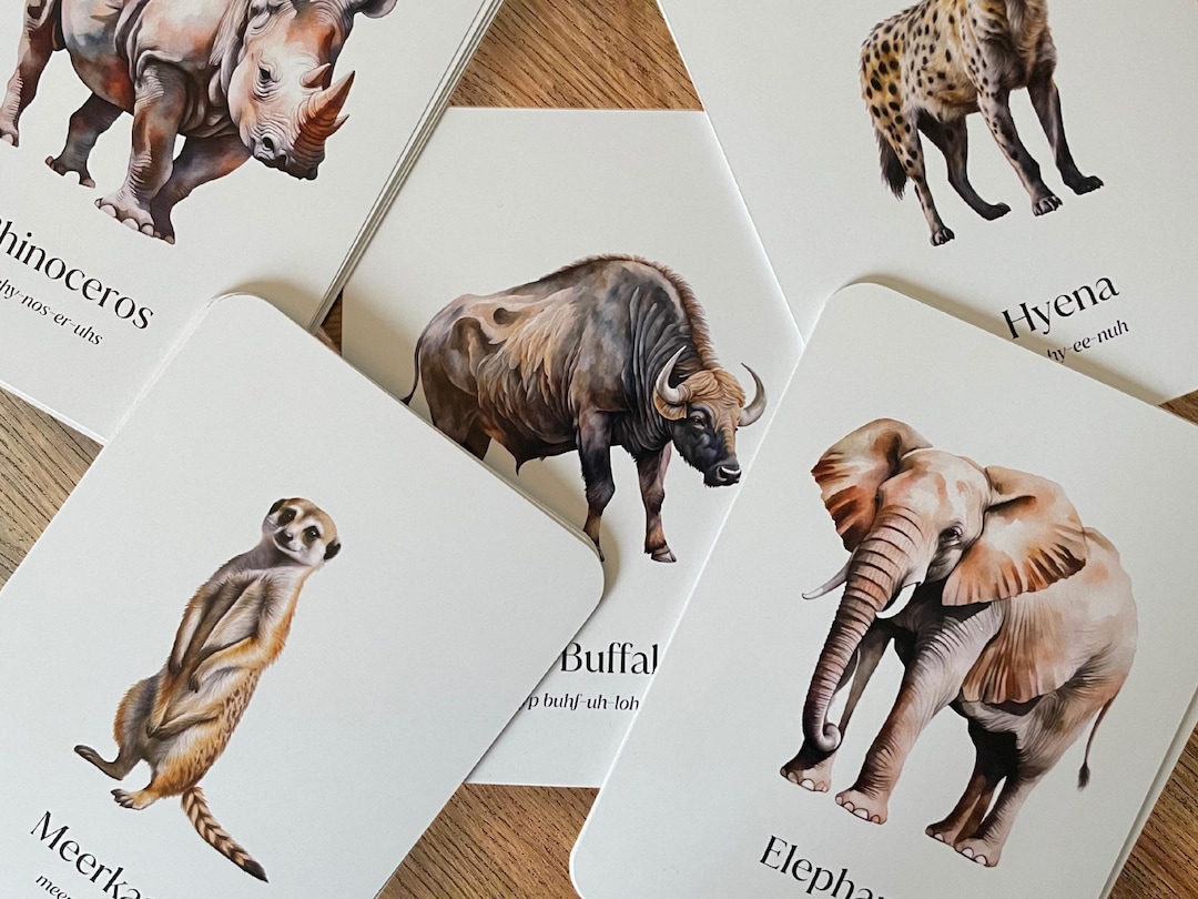 Safari Animal Flash Cards, Montessori Homeschool, Set of 30 - Etsy