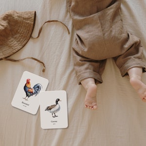Farm Animals Montessori Flash Cards: Homeschool Printable (PDF) - Etsy