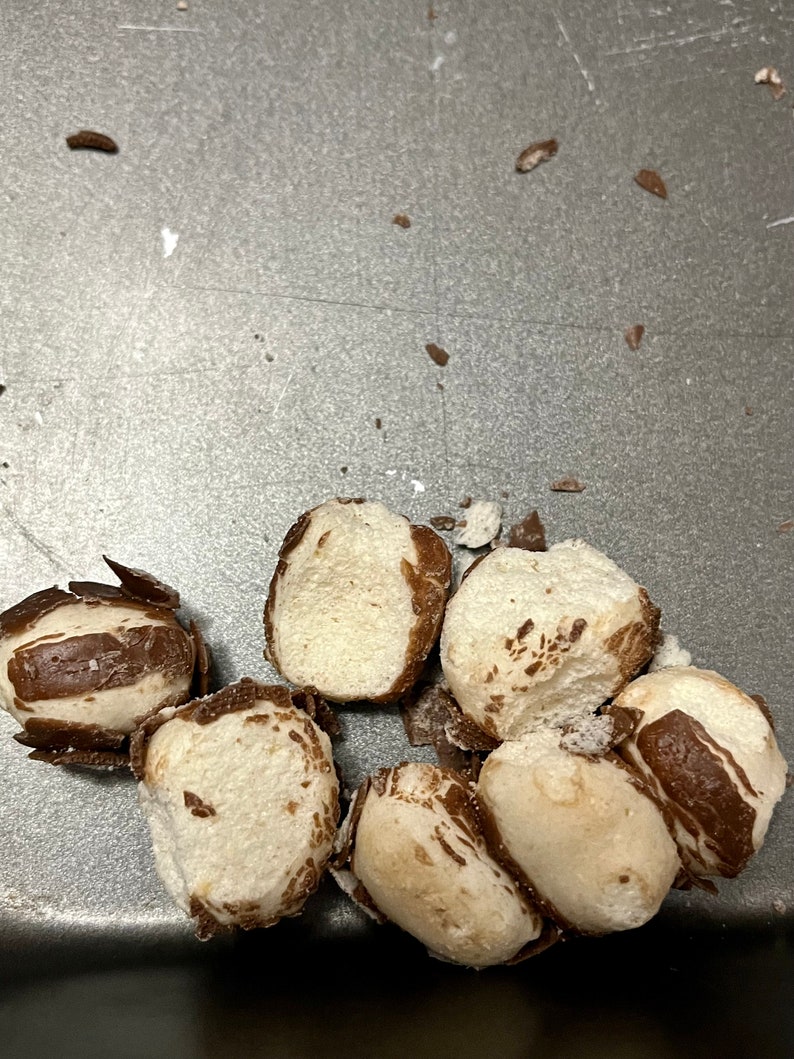 Charlie Puffs Freeze Dried Candy Crunchy Chocolaty Candy - Etsy