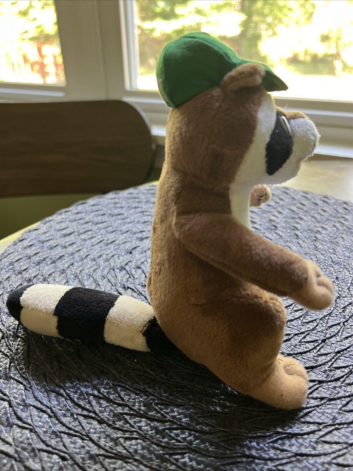 National Wildlife Ranger Rick Raccoon Federation 9 Plush Stuffed Animal ...