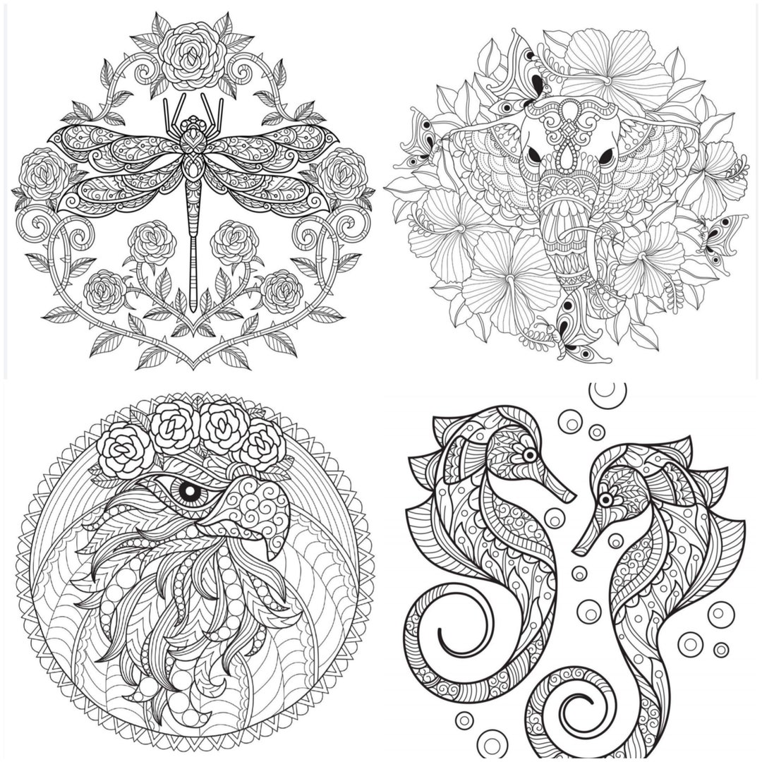 Color Pages - Etsy