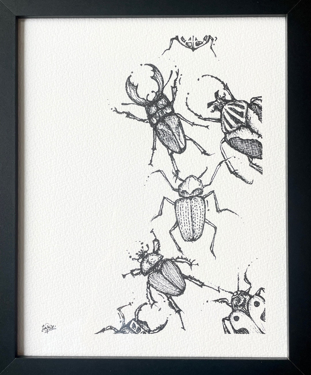 Beetles, 8x10 Giclée Art Print, Ink Drawing on Fine Art Photographic ...