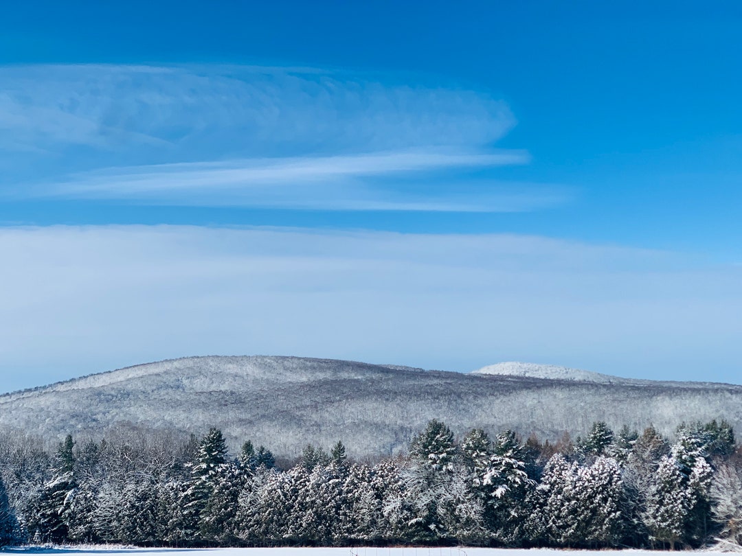 Bluebird Day (winter Edition) - Etsy