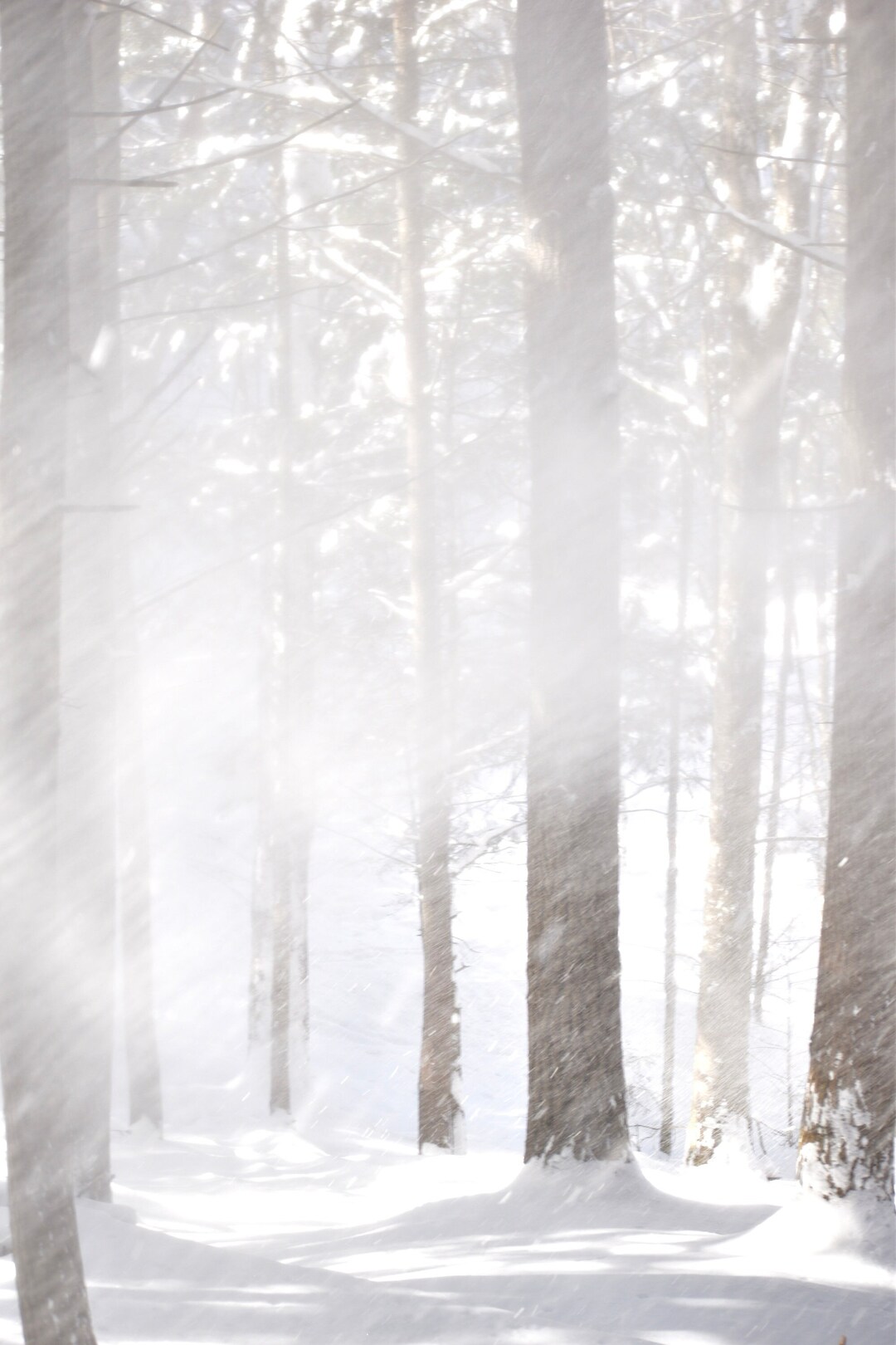 Dusty Snow- Vermont Photography- Digital Download - Etsy