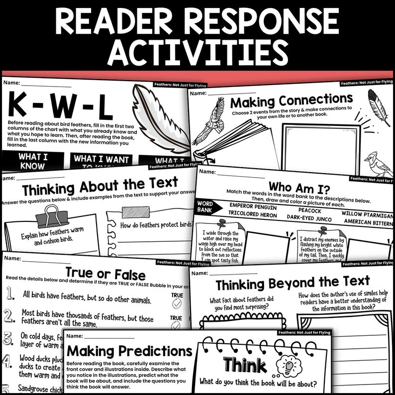 Feathers: Not Just for Flying Interactive Read-aloud Activities - Etsy