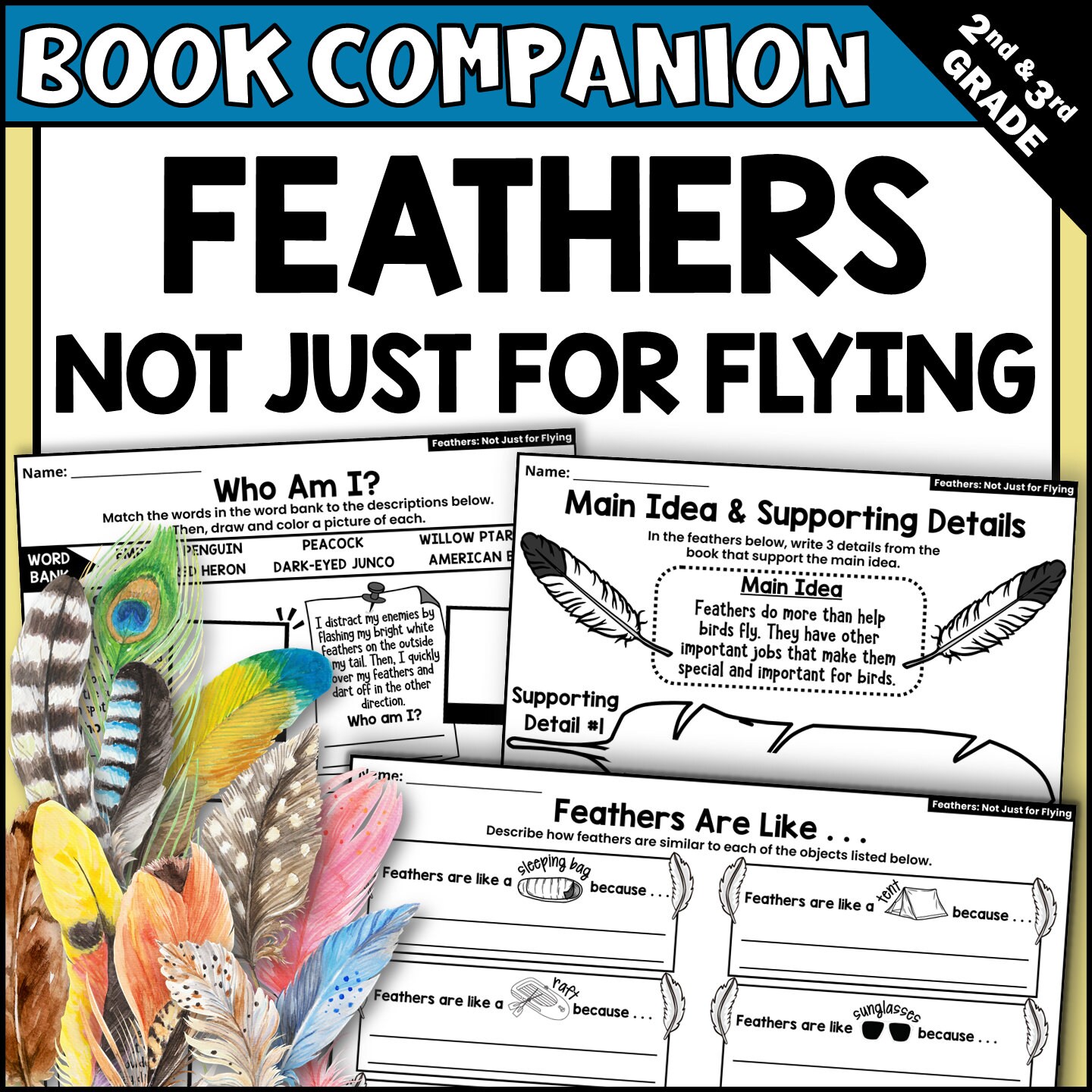 Feathers: Not Just for Flying Interactive Read-aloud Activities - Etsy