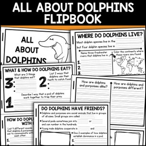 Dolphins by Seymour Simon Interactive Read-aloud Book Companion ...
