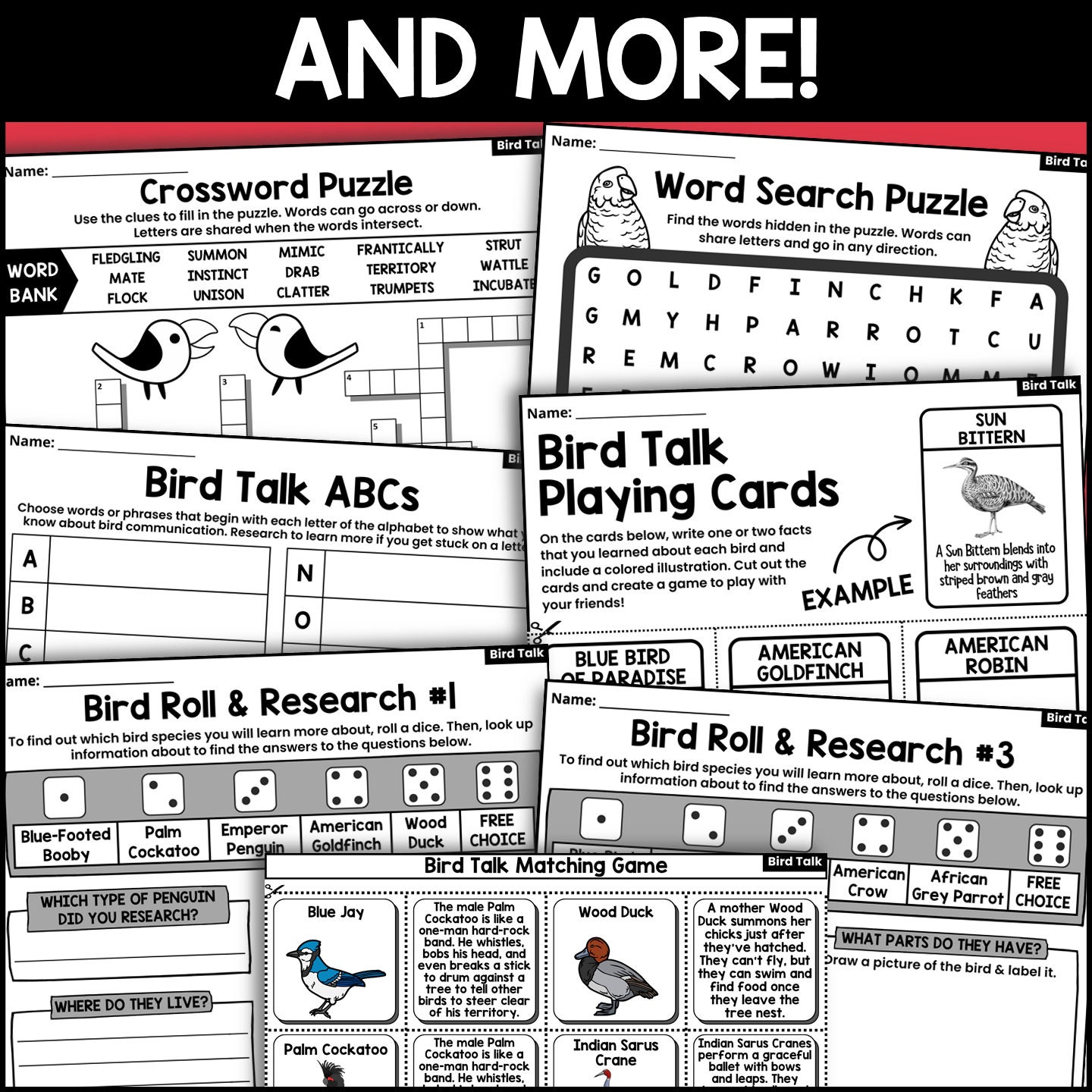 Bird Talk: What Birds Are Saying and Why Interactive Read-aloud ...