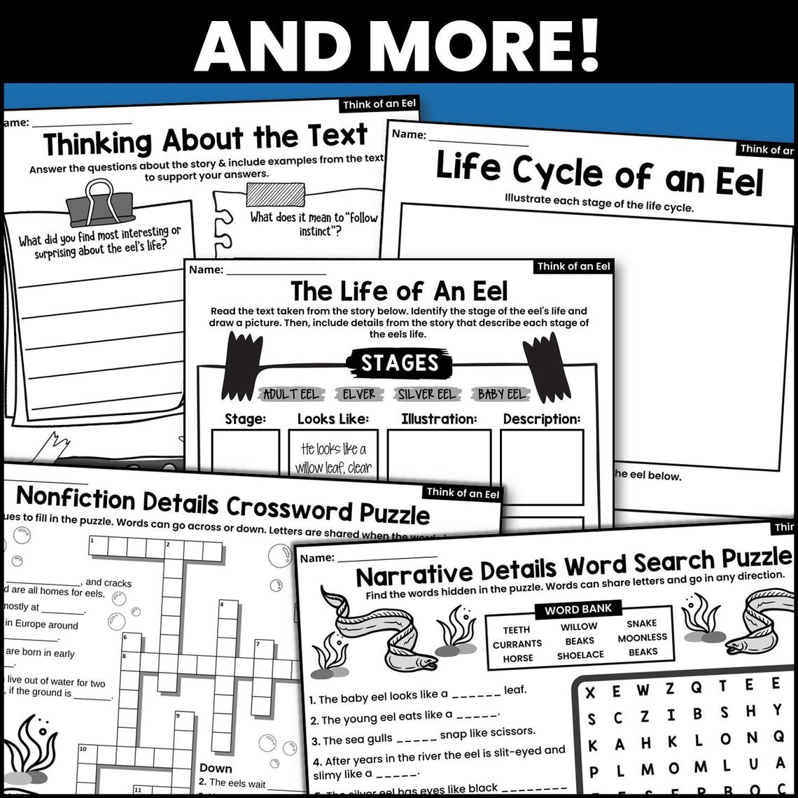 Think of an Eel Interactive Read-aloud Activities and Book Companion - Etsy