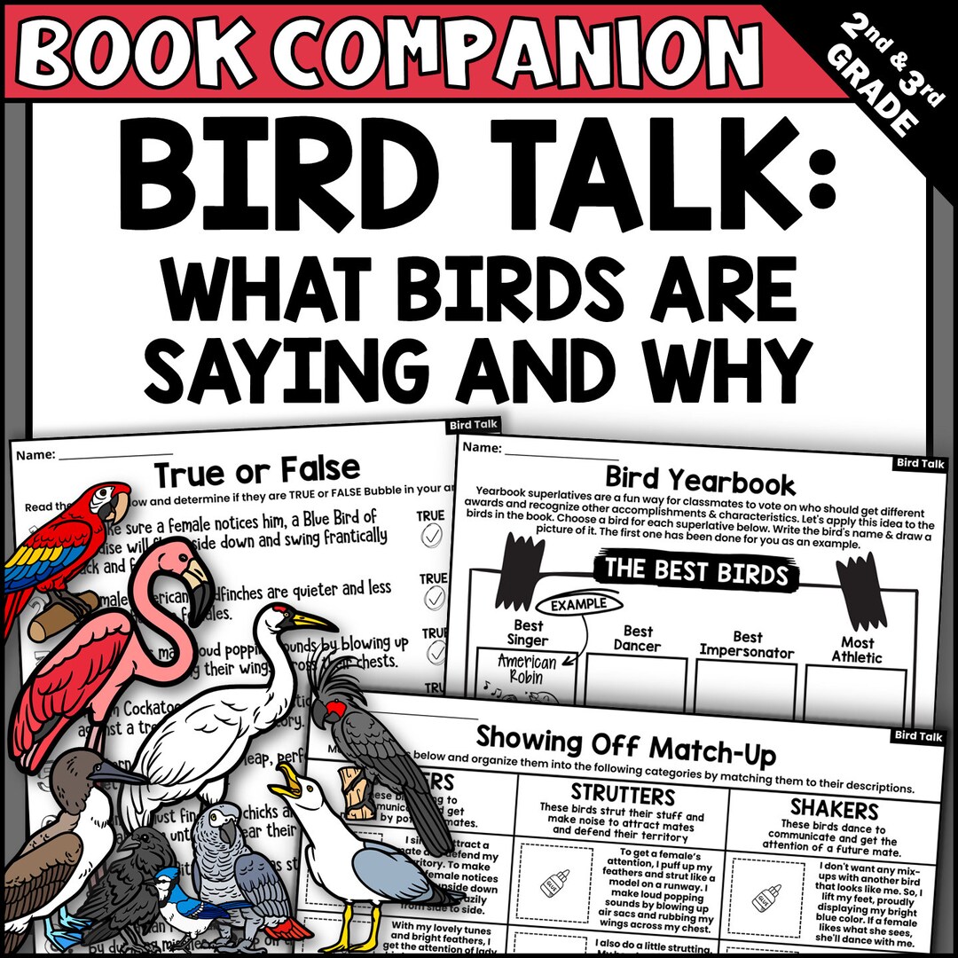 Bird Talk: What Birds Are Saying and Why Interactive Read-aloud ...