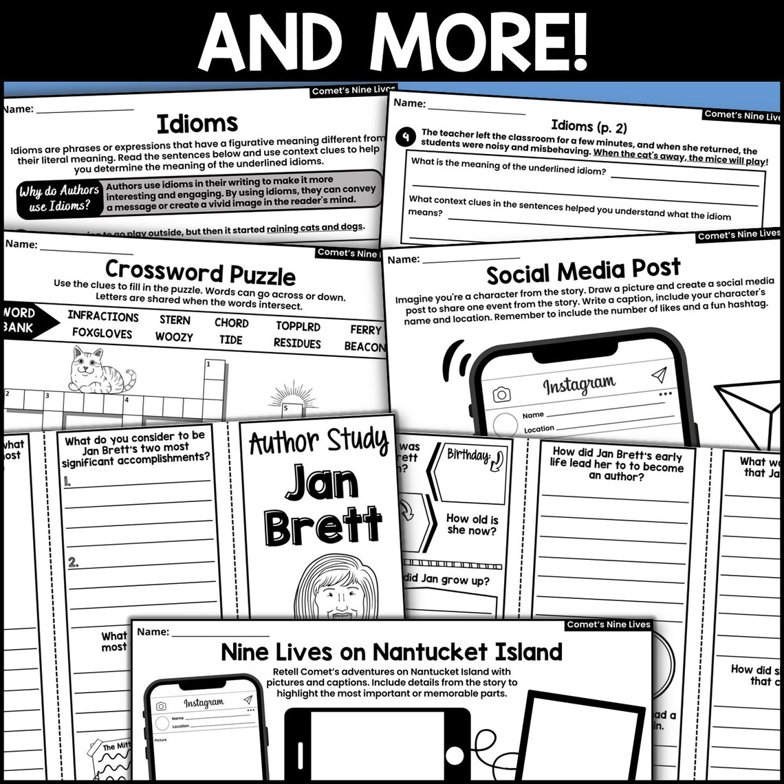 Comet's Nine Lives by Jan Brett Interactive Read-aloud Activities - Etsy