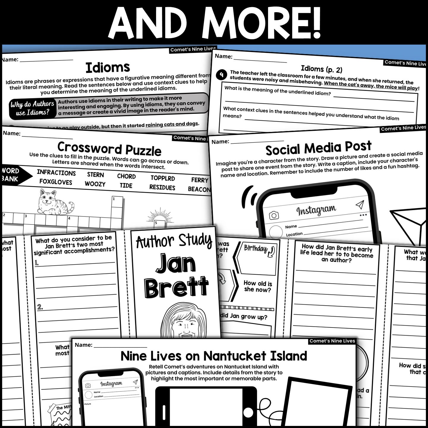 Comet's Nine Lives by Jan Brett Interactive Read-aloud Activities - Etsy