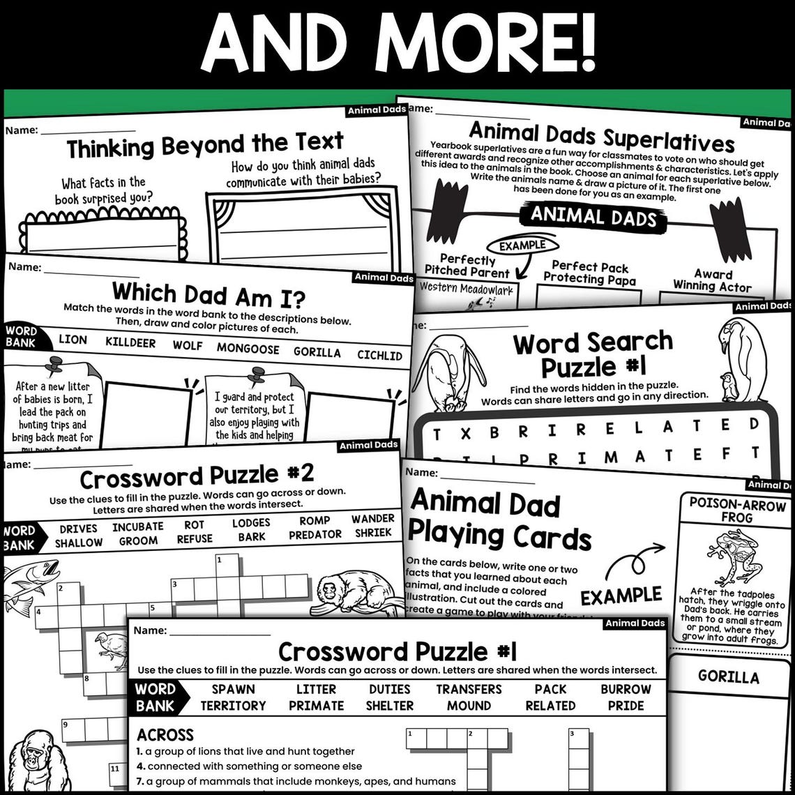 Animal Dads by Steve Jenkins Interactive Read-aloud Activities - Etsy