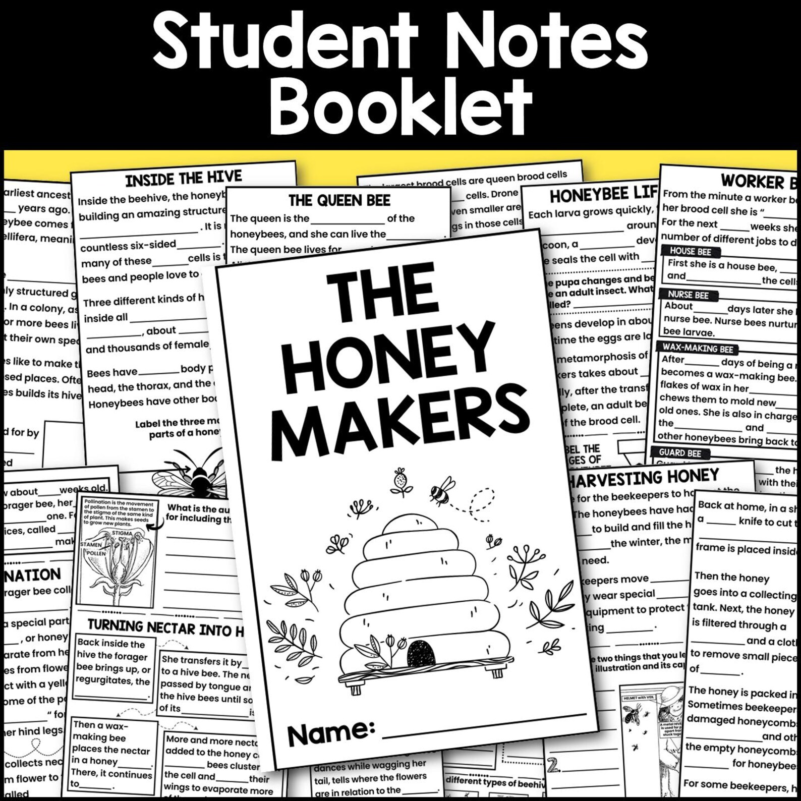 The Honey Makers by Gail Gibbons Interactive Read-aloud Activities and ...