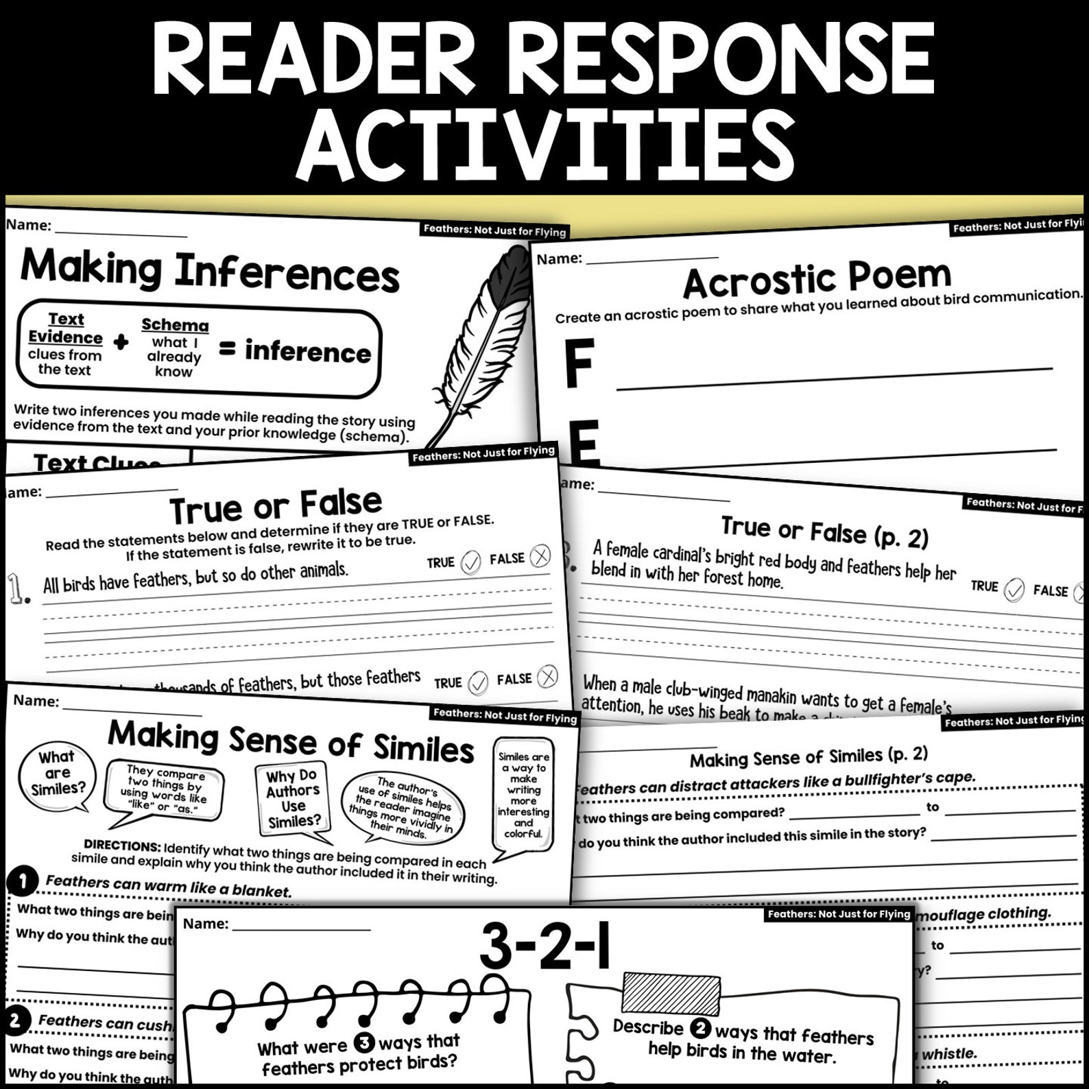 Feathers: Not Just for Flying Interactive Read-aloud Activities - Etsy