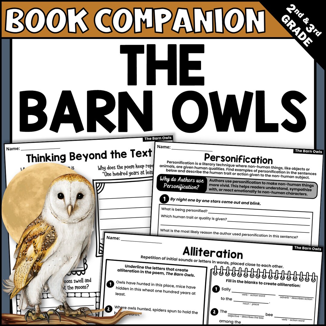 The Barn Owls Interactive Read-aloud Activities and Book Companion - Etsy