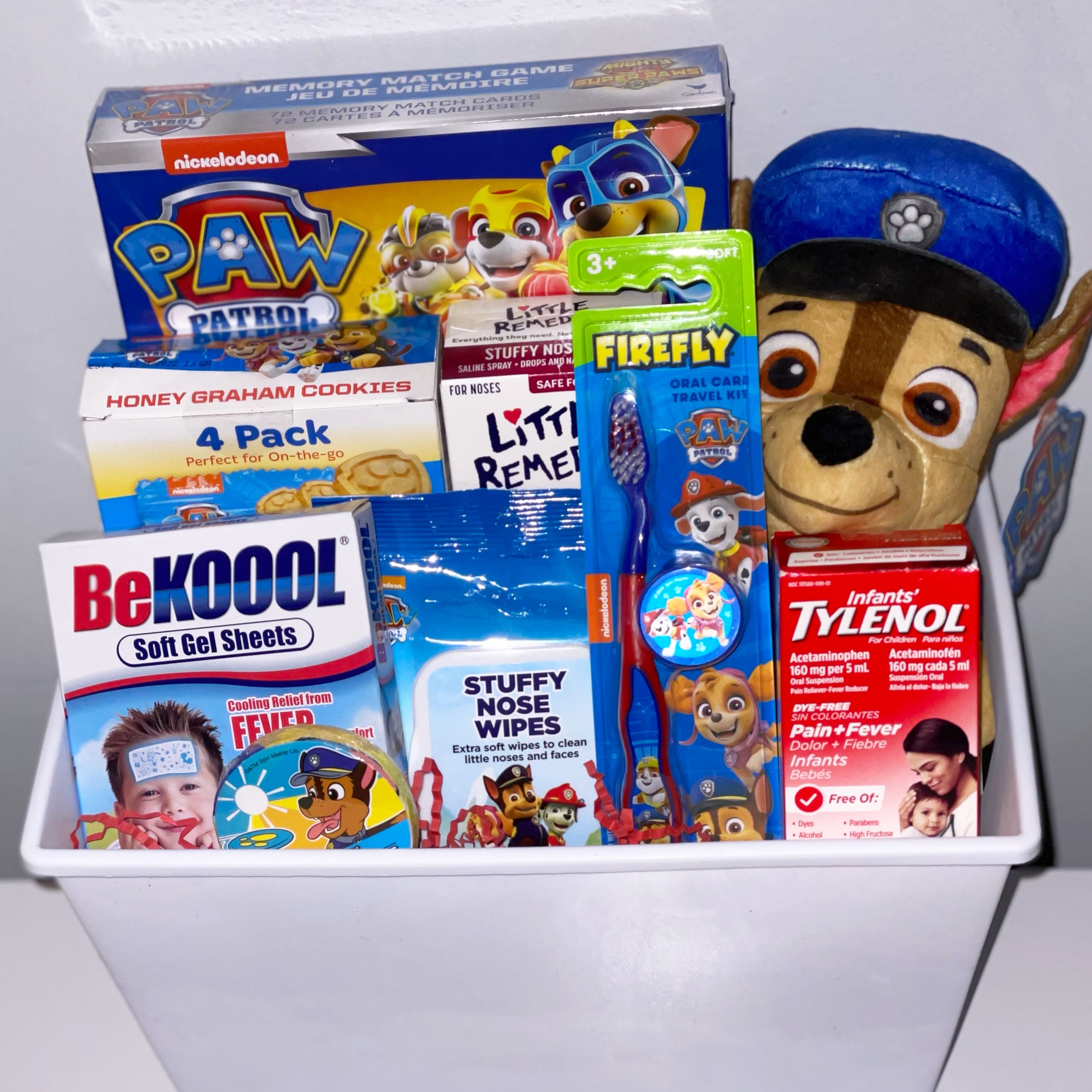 Paw Patrol Sick Day Kit / Get Well Basket - Etsy