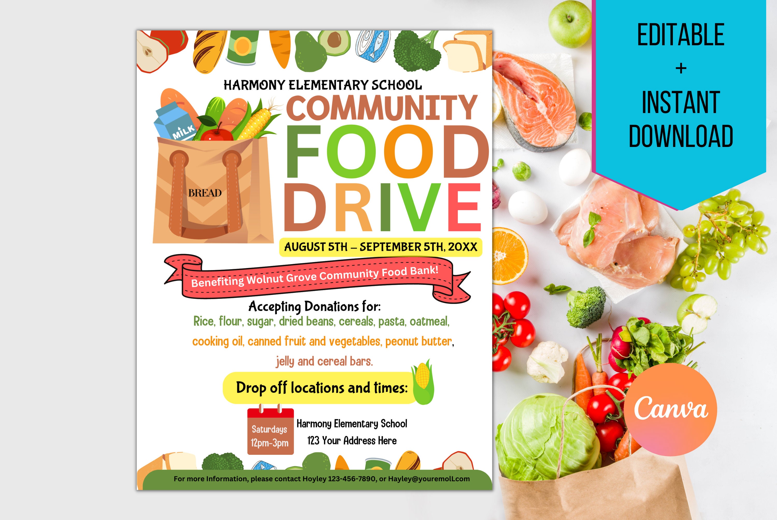 Editable Food Drive Flyer, School Church Fundraiser Invite, PTA PTO ...