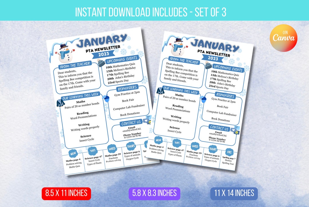 EDITABLE January Newsletter Template, Classroom Printable Handout Flyer ...