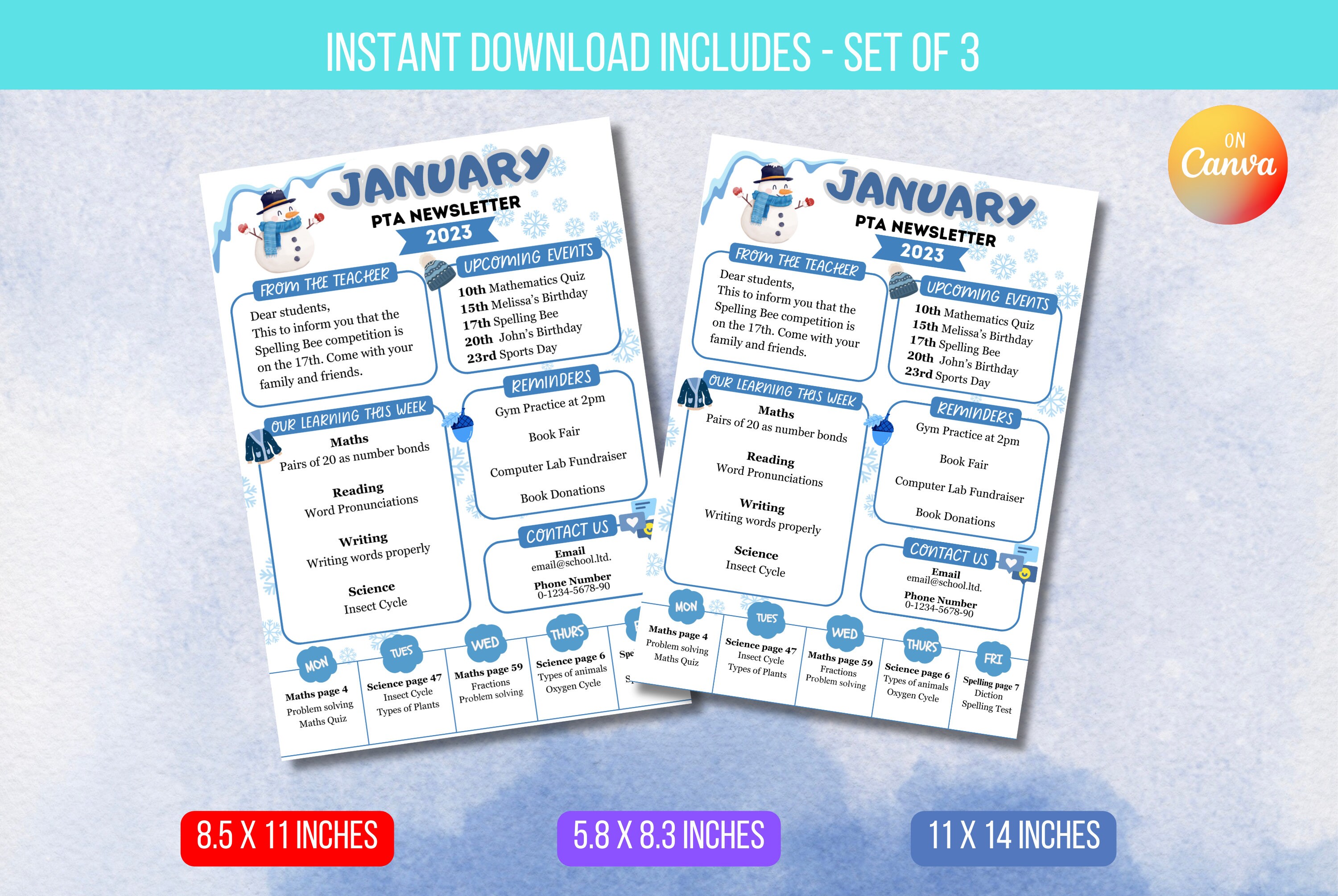EDITABLE January Newsletter Template Classroom Printable - Etsy