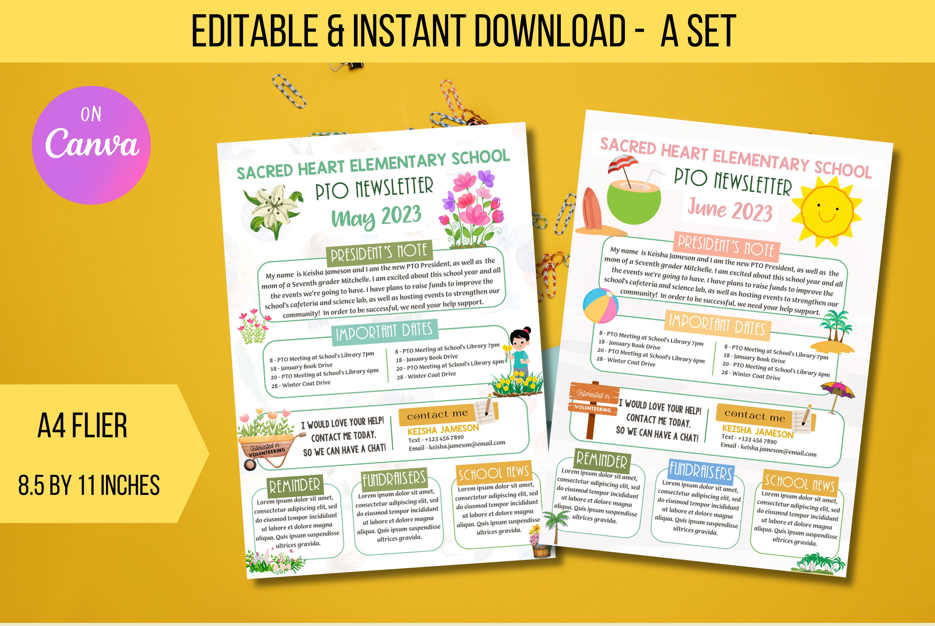 EDITABLE Yearly/monthly Newsletter Template Set Classroom - Etsy