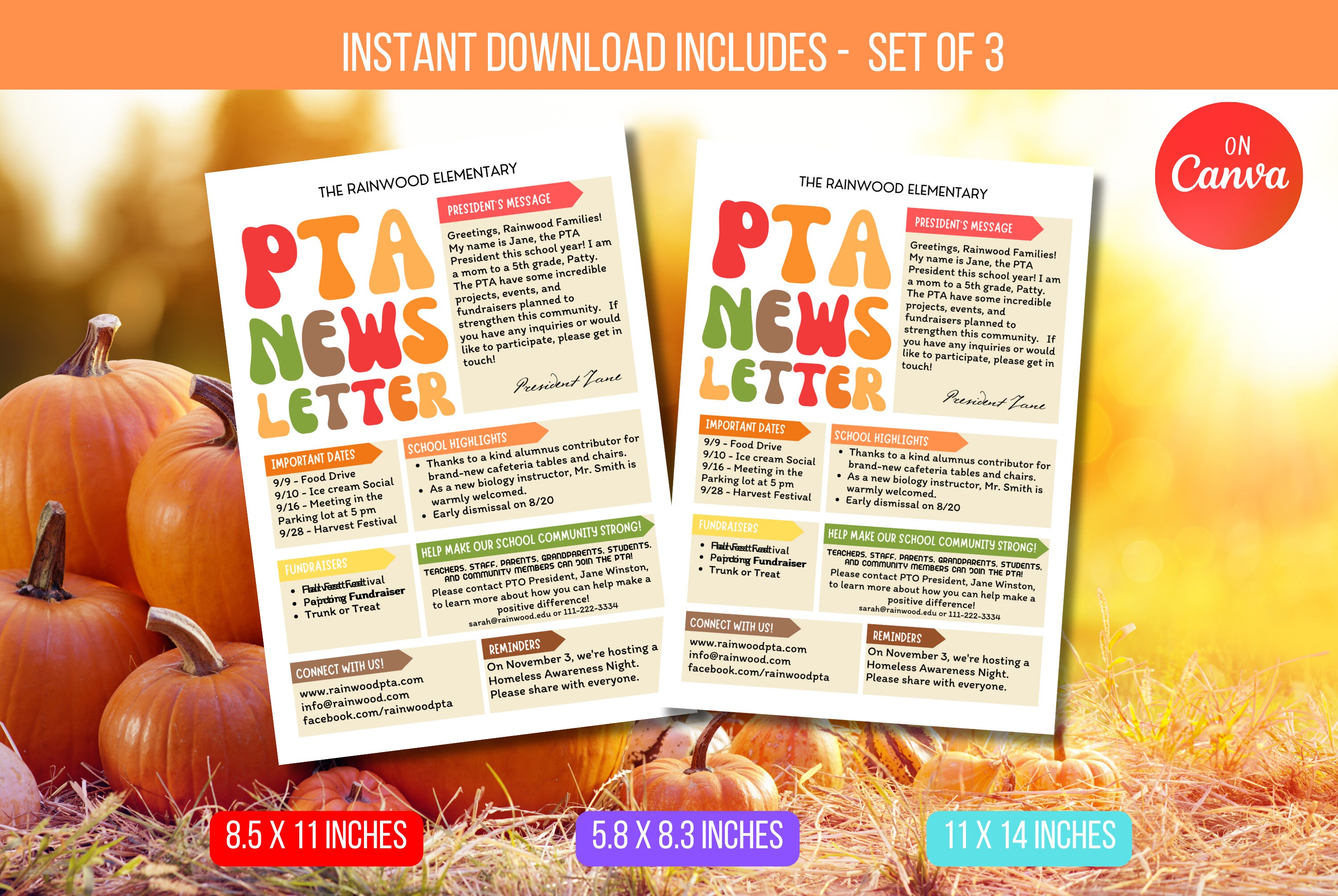 EDITABLE PTA Newsletter Flyer Template, Printable Handout Digital Flyer ...