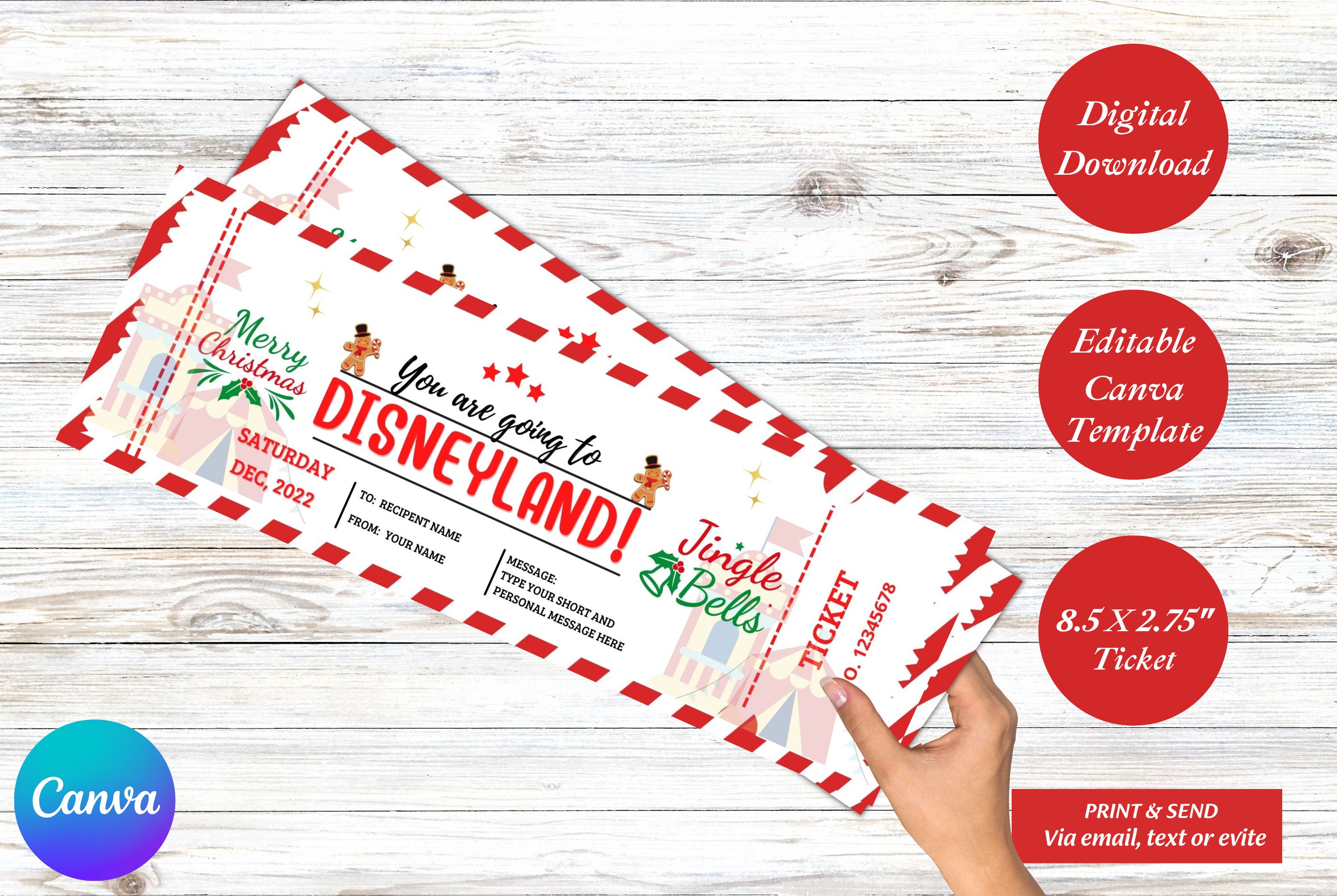 Surprise Christmas Amusement Park Ticket, Holiday Surprise Ticket ...